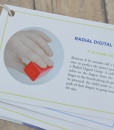 Typical Hand Grasp Development for Fine Motor Skills Cards (Printed)