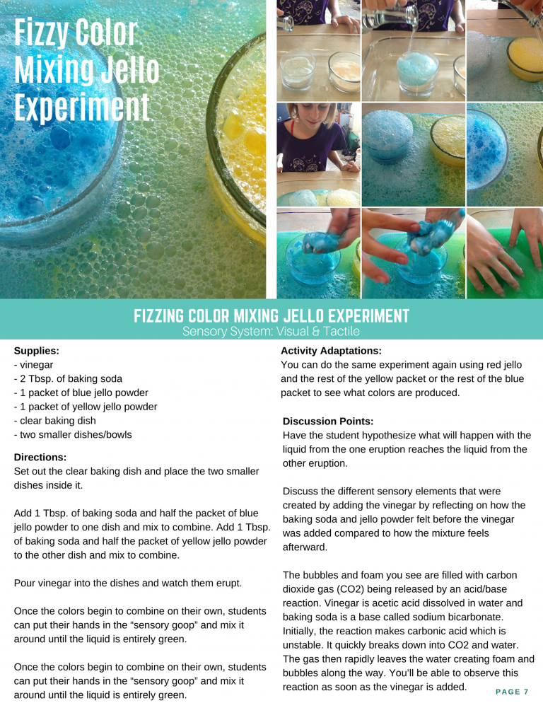My Senses Summer Day Camp - Digital Download Program