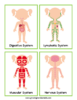 Human Body Play Dough Mats - Growing Hands On Kids Store