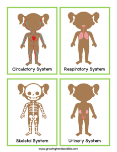 Human Body Play Dough Mats - Growing Hands On Kids Store