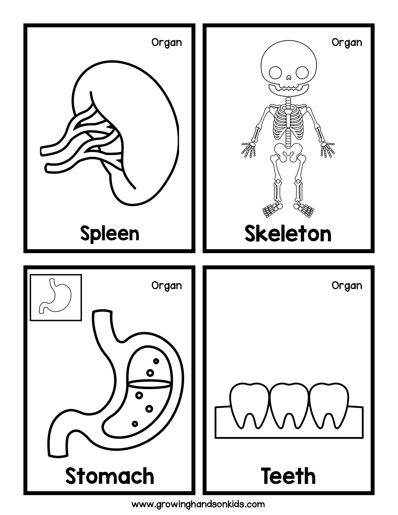 Human Body Play Dough Mats - Growing Hands On Kids Store