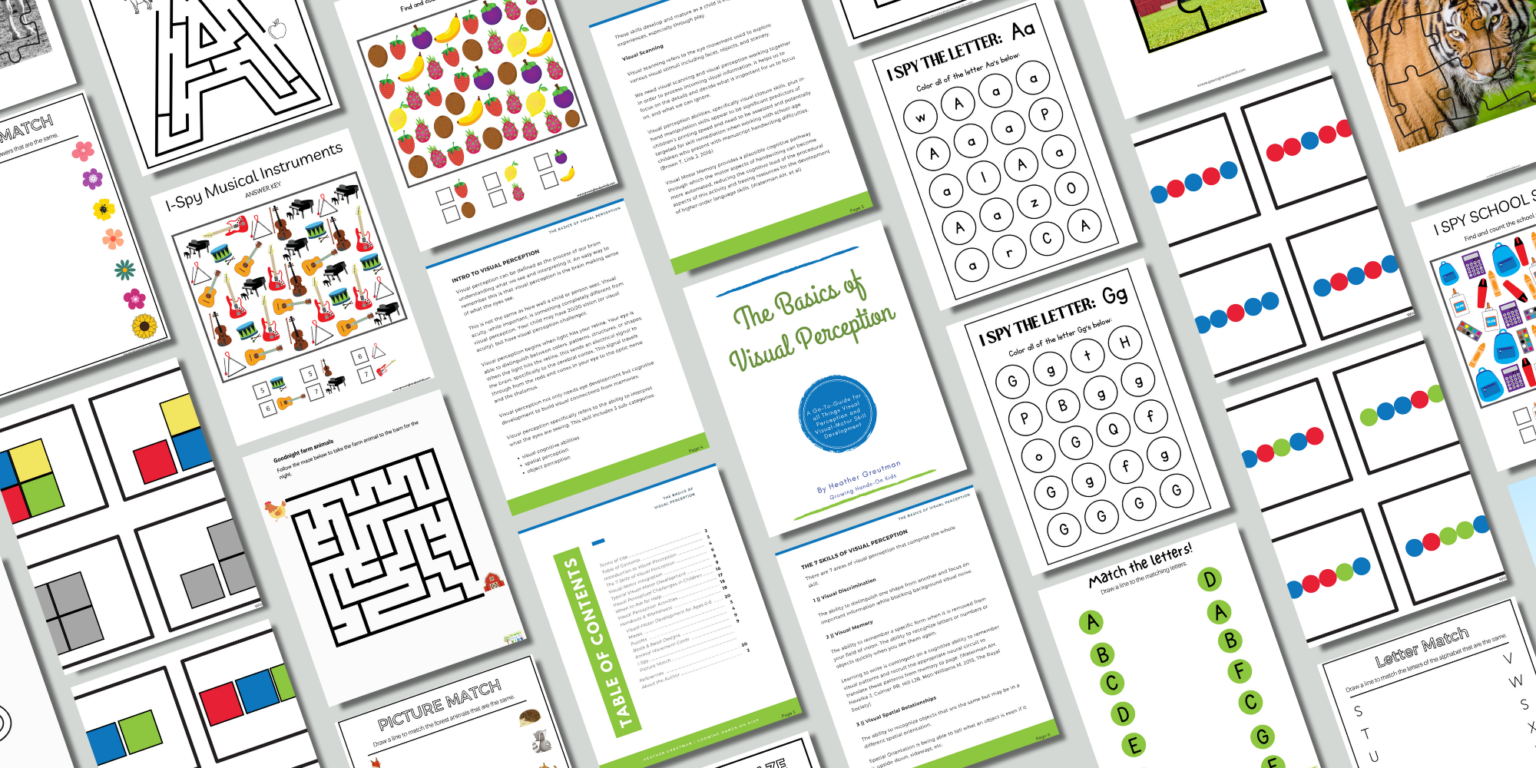 The Basics of Visual Perception | Digital Download Offer from GHOK