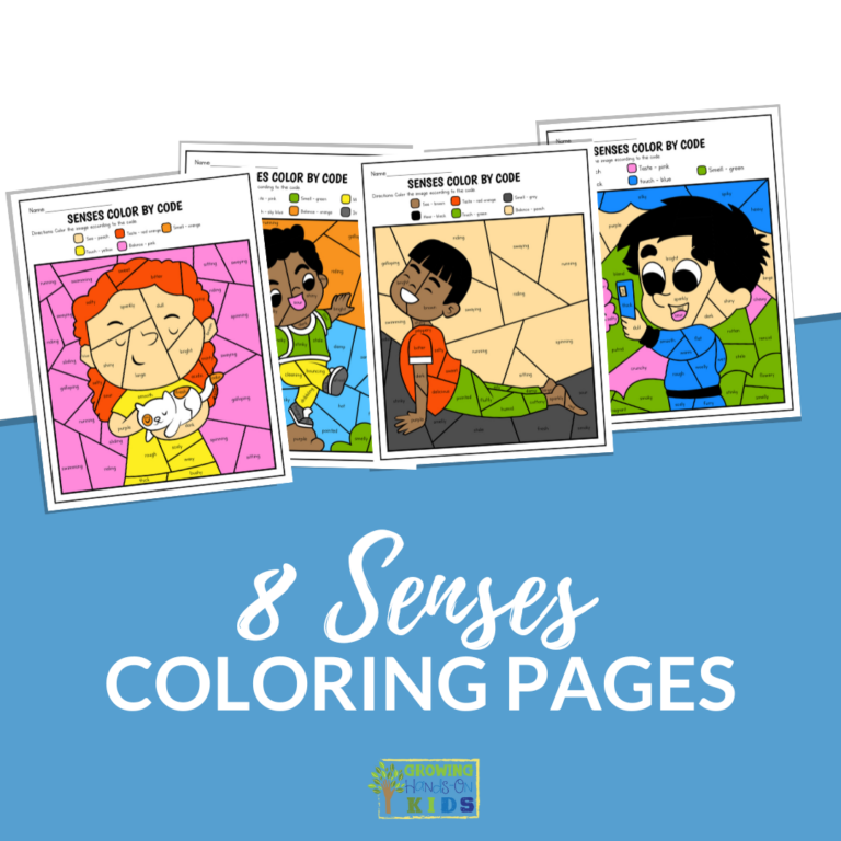 The 8 Senses Color by Code Printables - (Instant Download/PDF ...