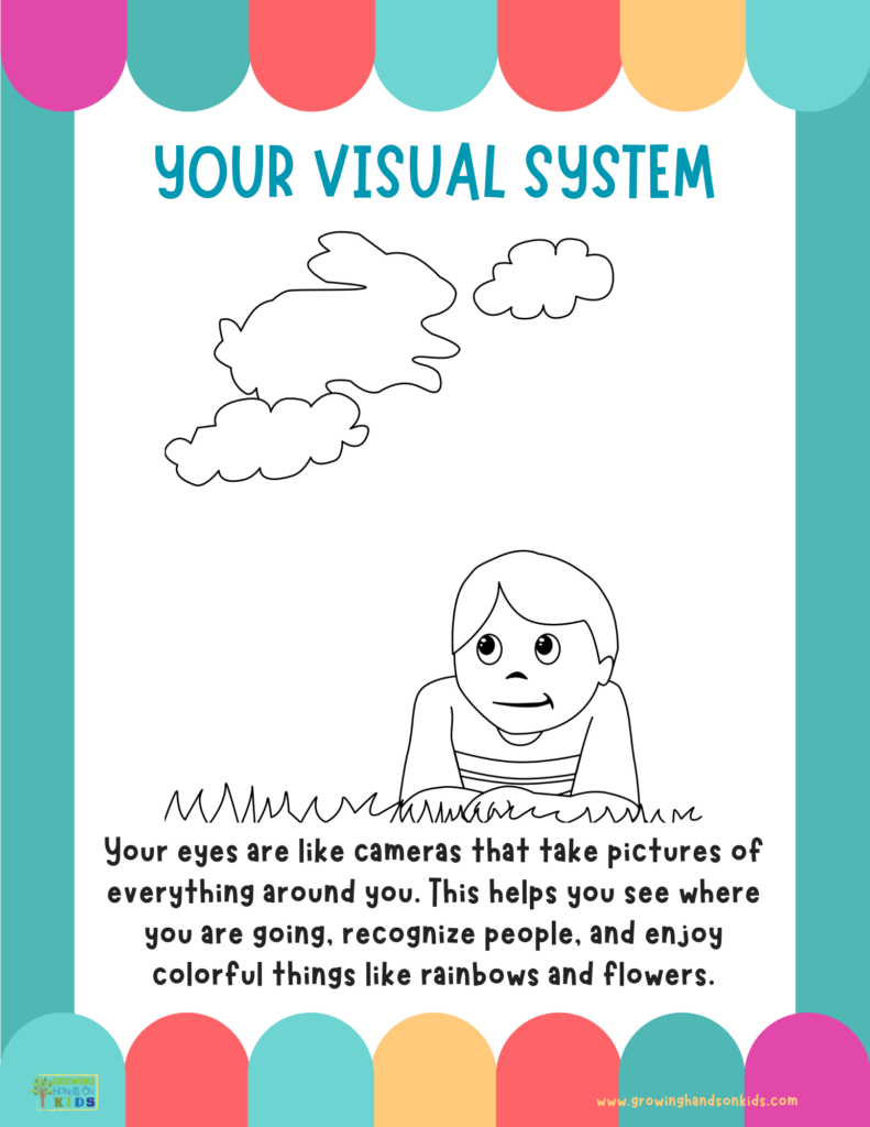Sensory Processing Handouts for Kids (Digital Download) - Growing Hands ...
