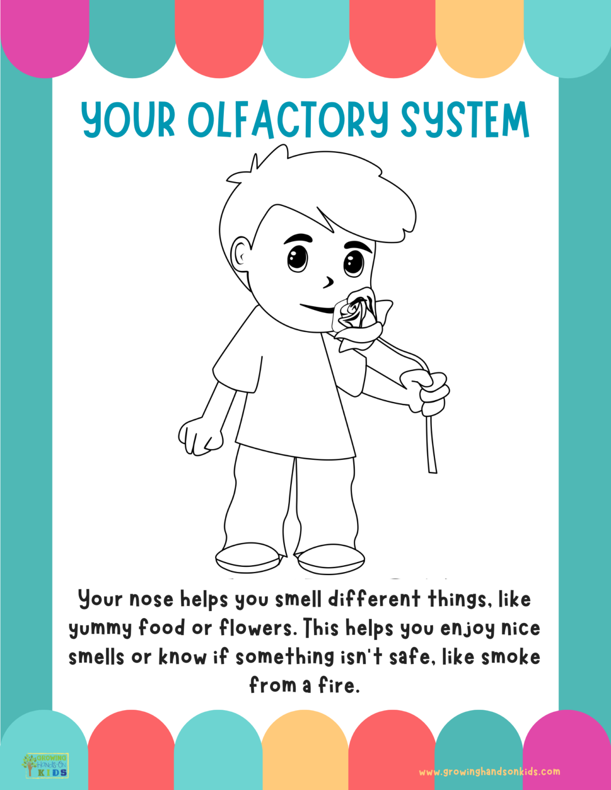 Sensory Processing Handouts for Kids (Digital Download) - Growing Hands ...