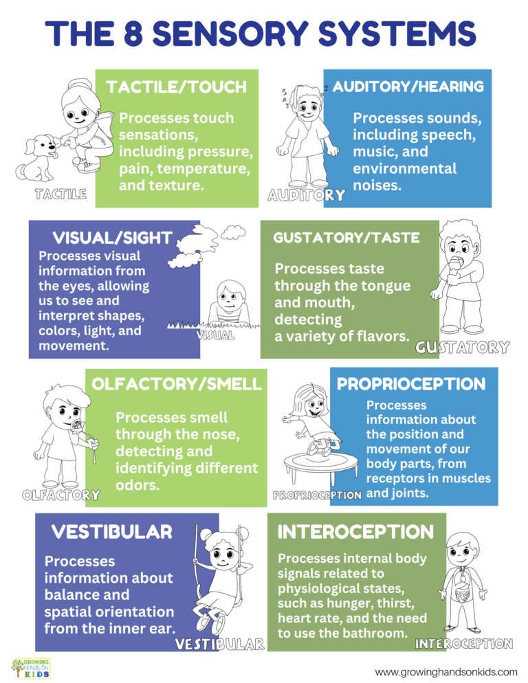 Sensory Processing Handouts for Kids (Digital Download) - Growing Hands ...